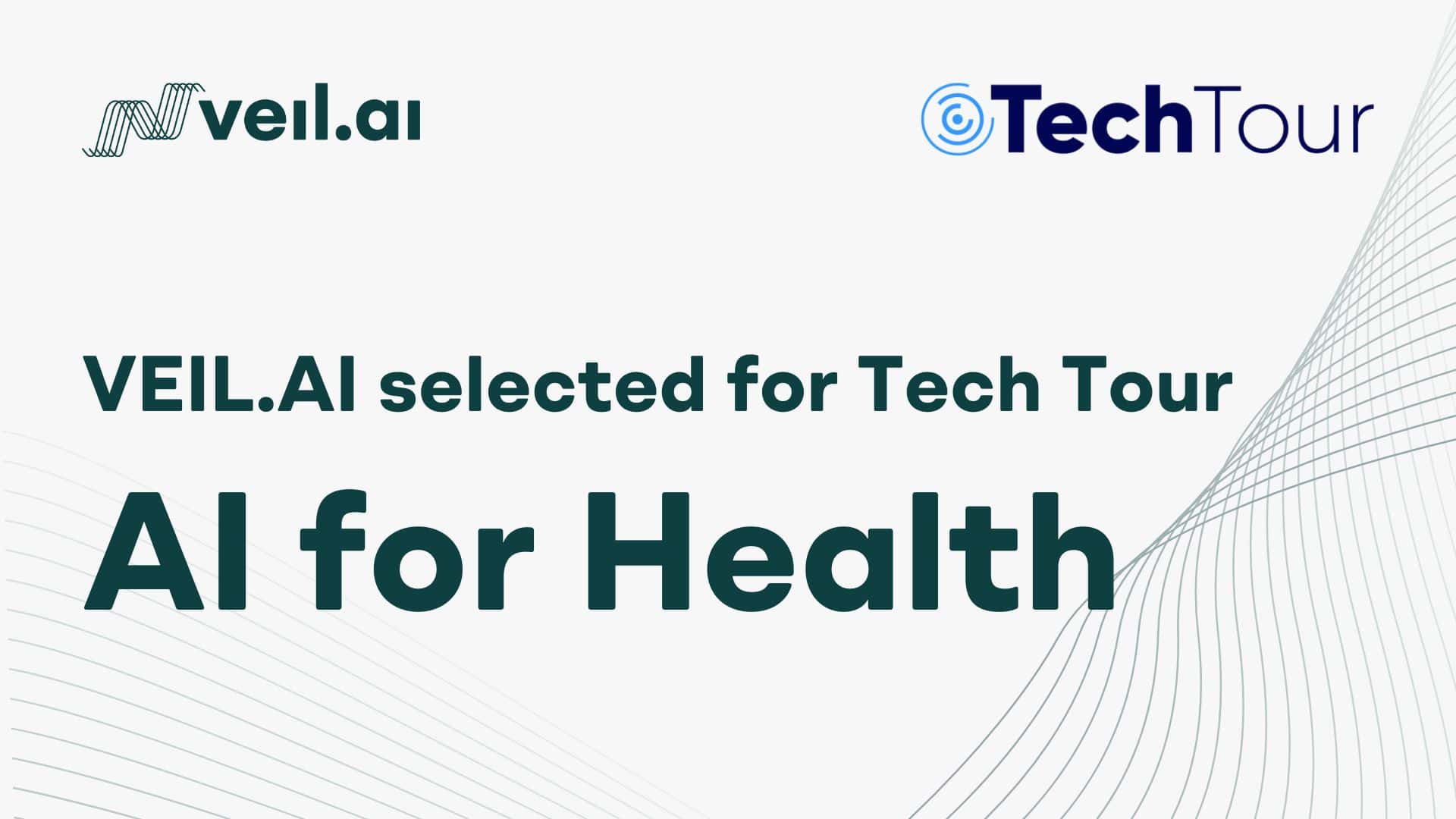 VEIL.AI — Enabling use of sensitive data